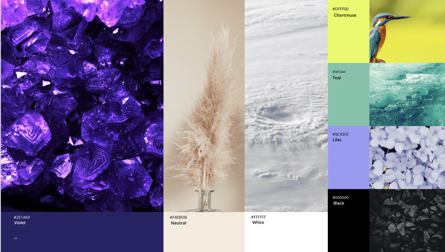 介绍我们的全新视觉标识